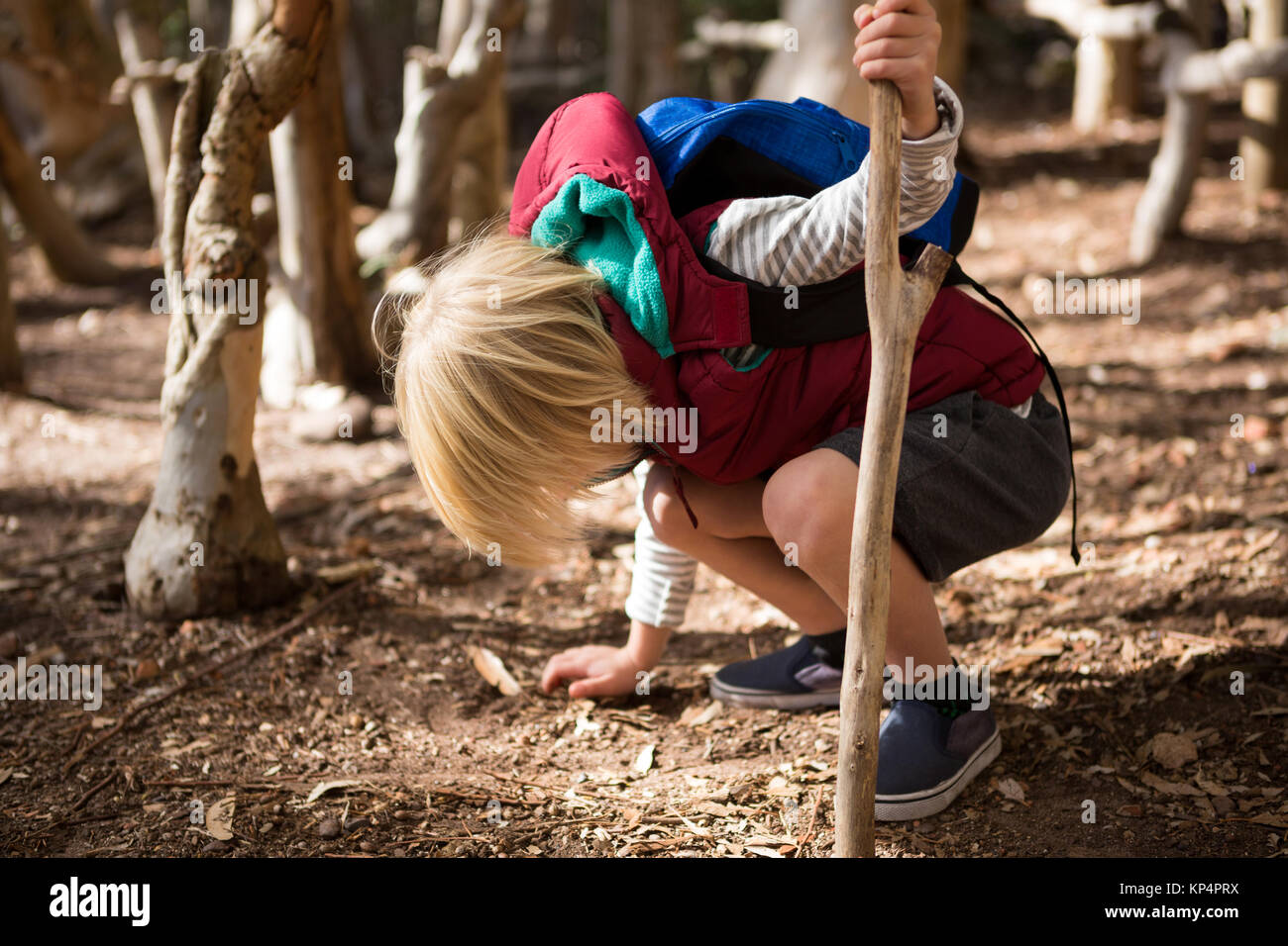 Little girl with stick touching ground in the forest Stock Photo - Alamy