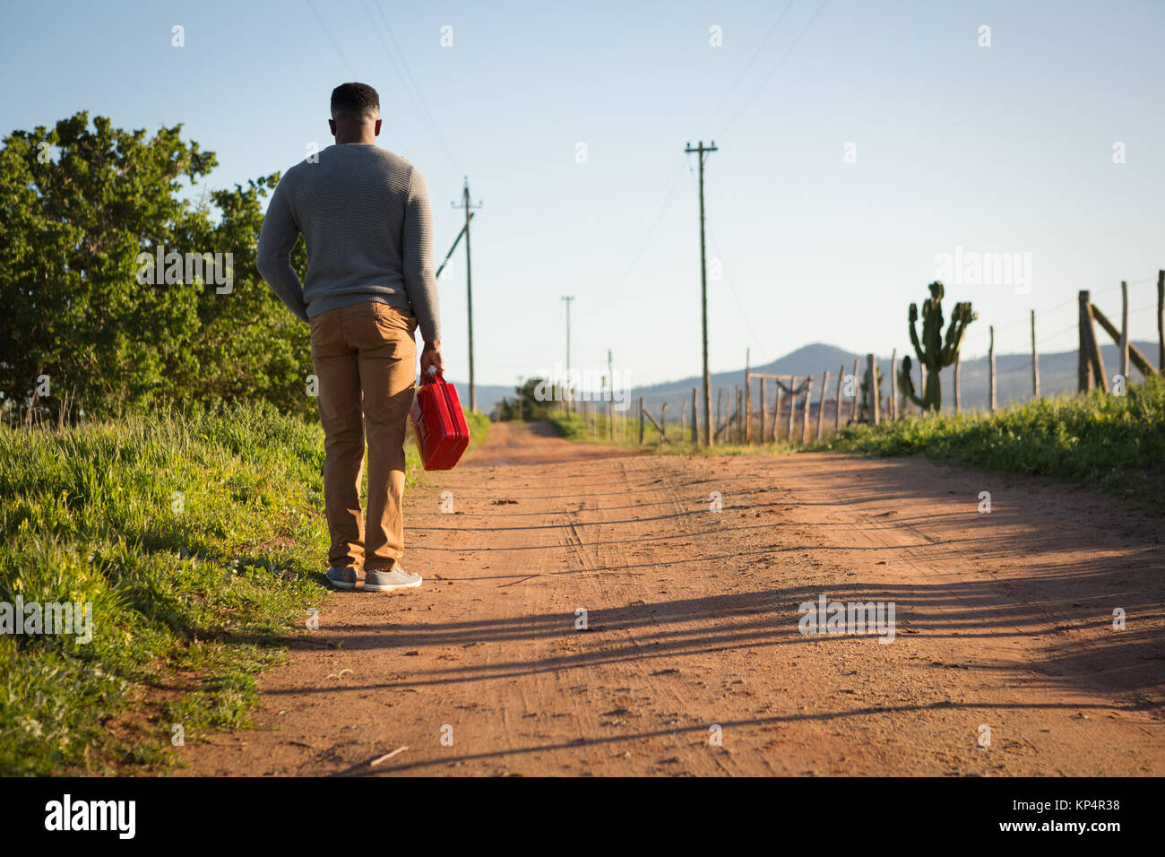 Rear view of man standing with petrol can at countryside Stock Photo ...