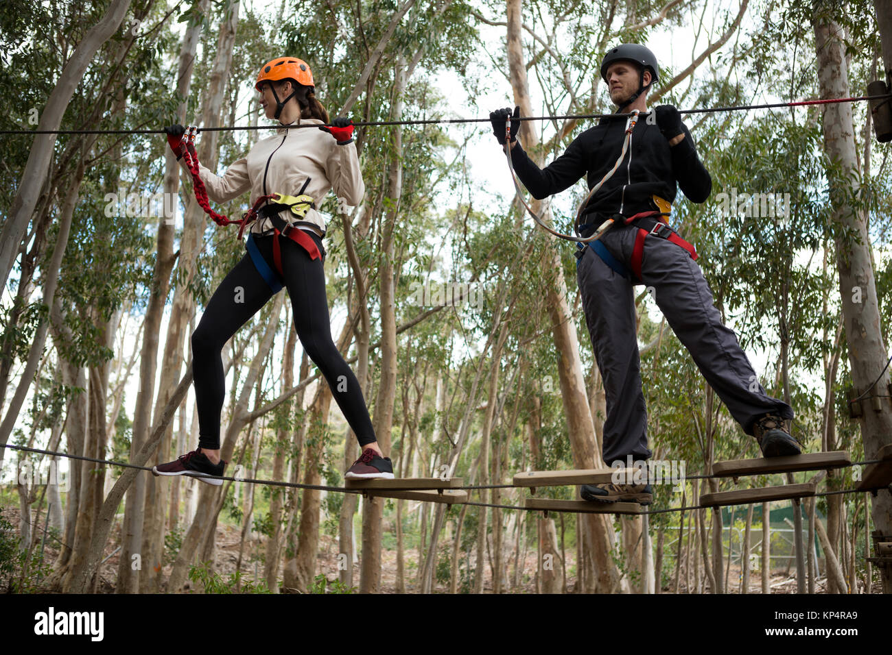 Couple holding zip line while crossing obstacle in the forest Stock ...