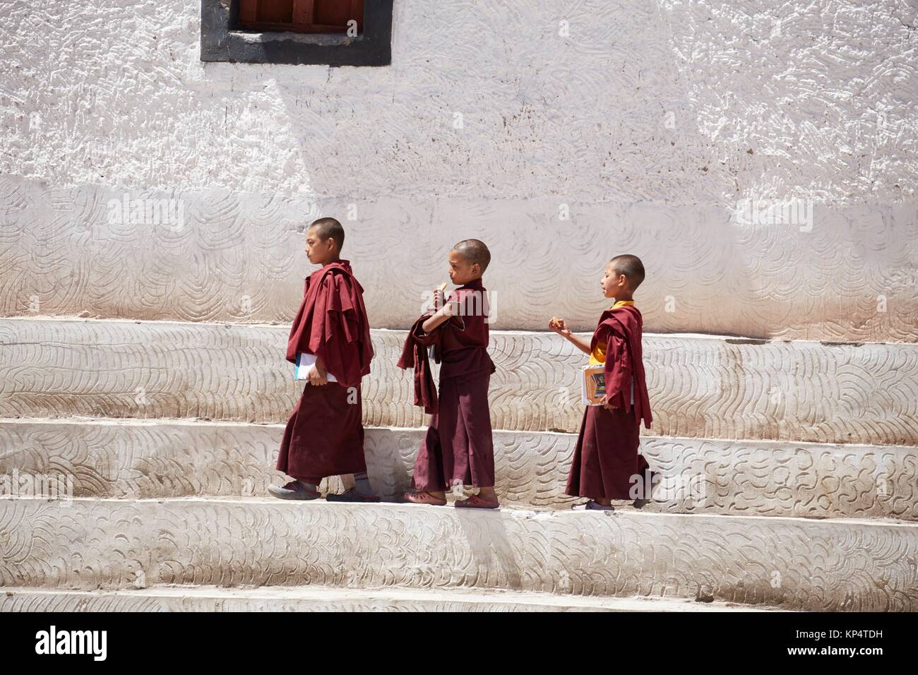 Hemis Gompa, Hemis, Ladakh, India Stock Photo - Alamy