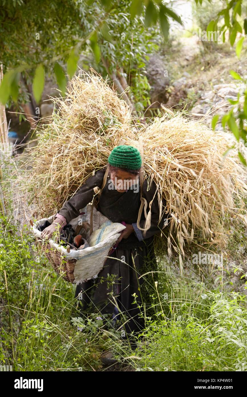 Gyal hi-res stock photography and images - Alamy