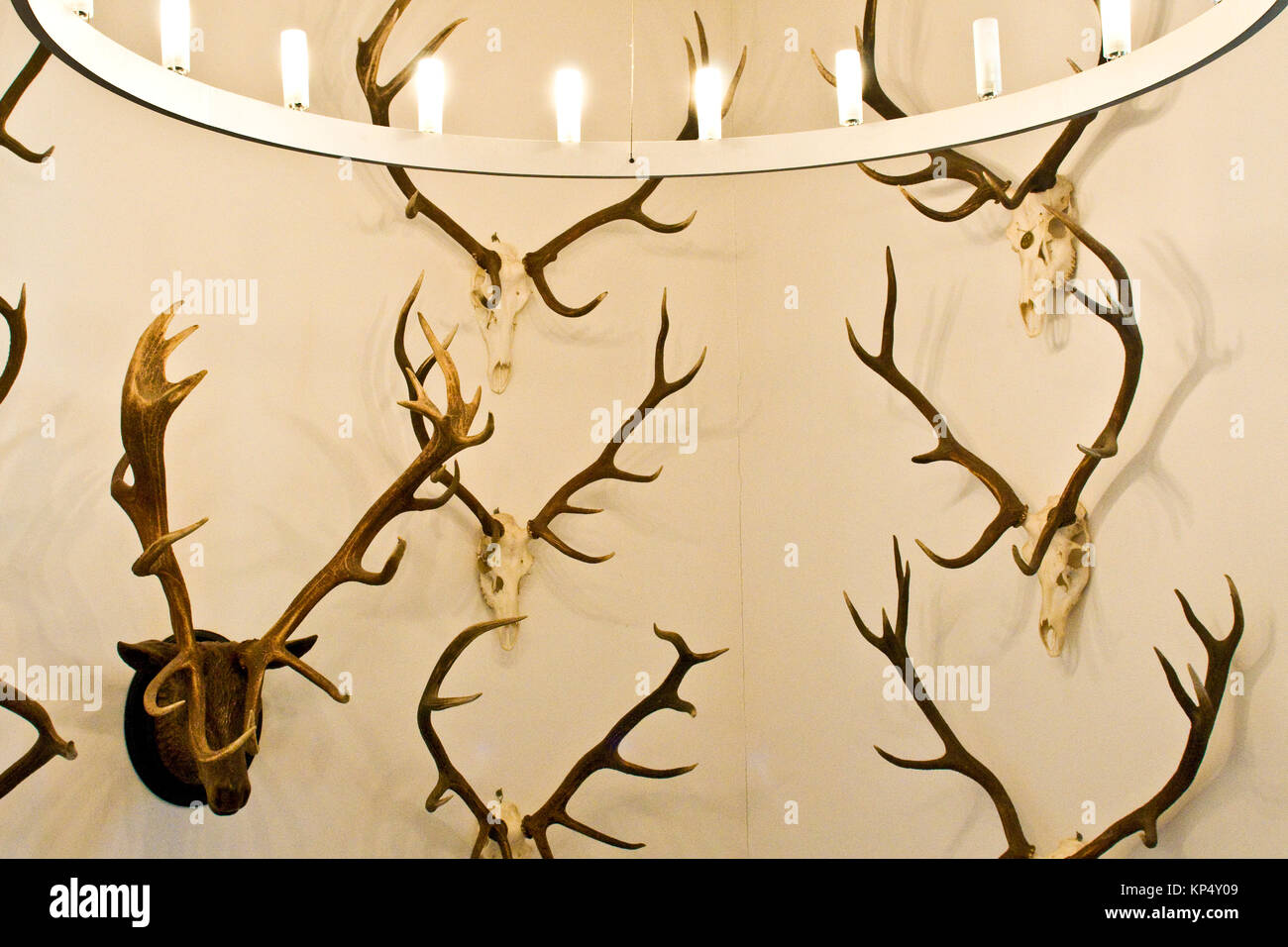 Hunt trophies hi-res stock photography and images - Alamy