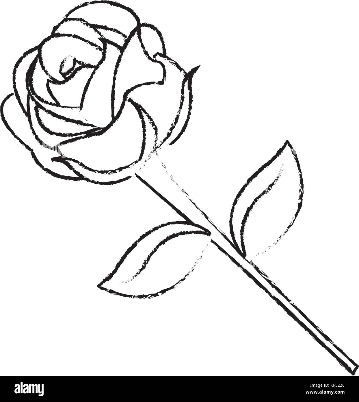 Isolated rose design Stock Vector Image & Art - Alamy