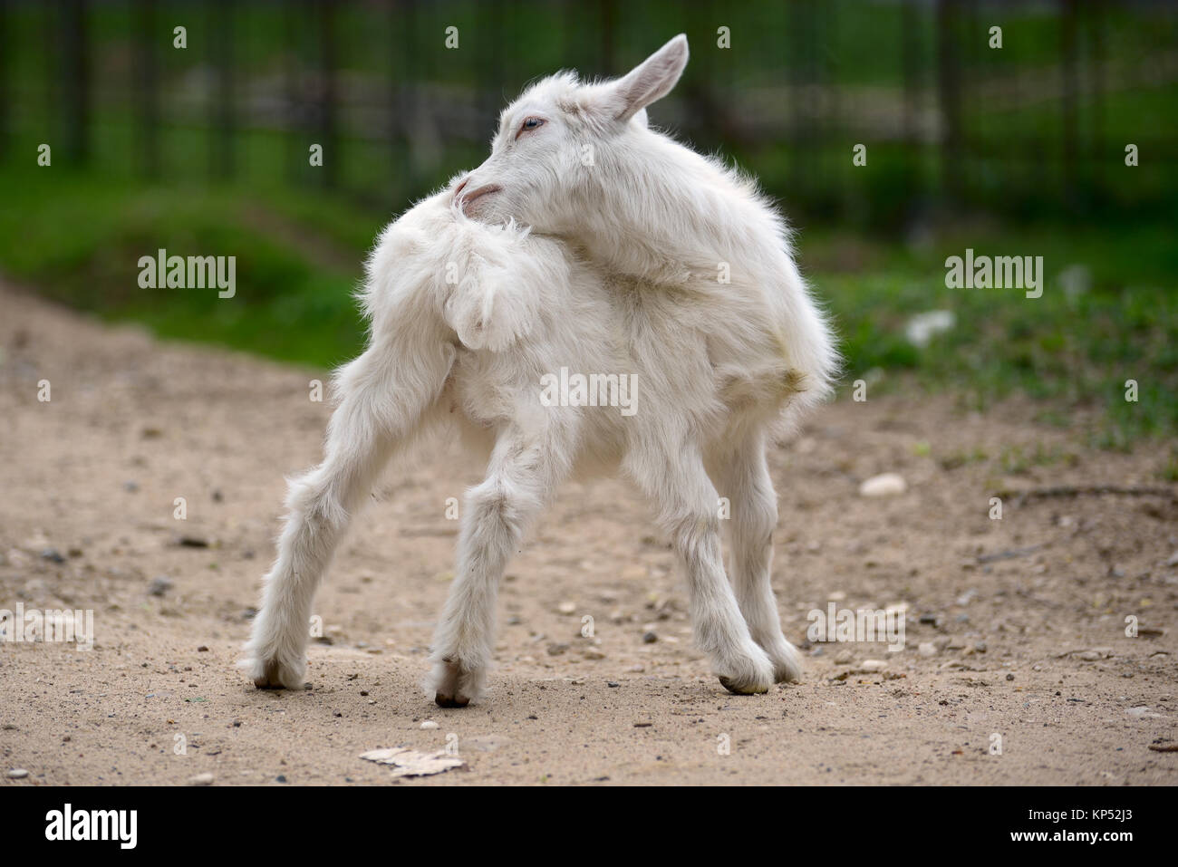 White kid is standing and scratching his back Stock Photo - Alamy