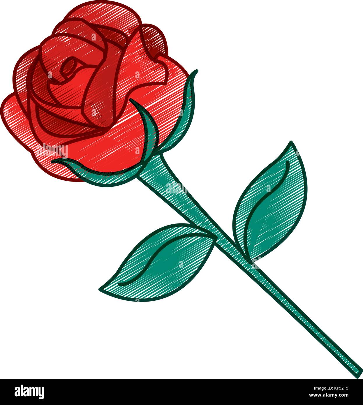 Isolated rose design Stock Vector Image & Art - Alamy