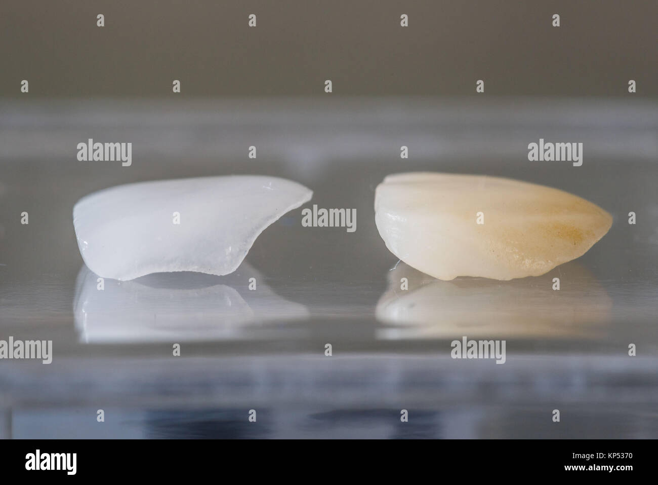 Ceramic facets hi-res stock photography and images - Alamy