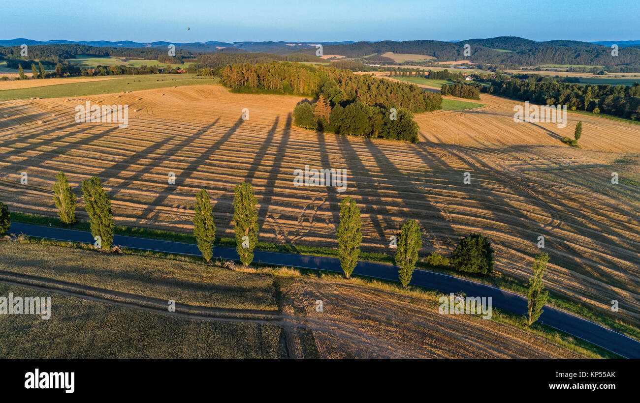 Aerial view of outdoor landscapes, a row of trees throwing long shadows ...