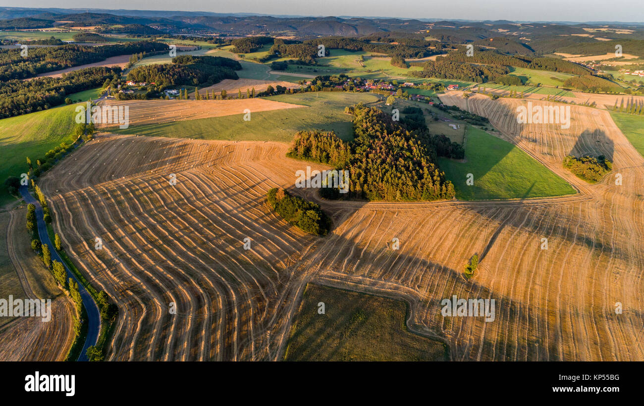 Aerial view of outdoor landscapes, a row of trees throwing long shadows ...