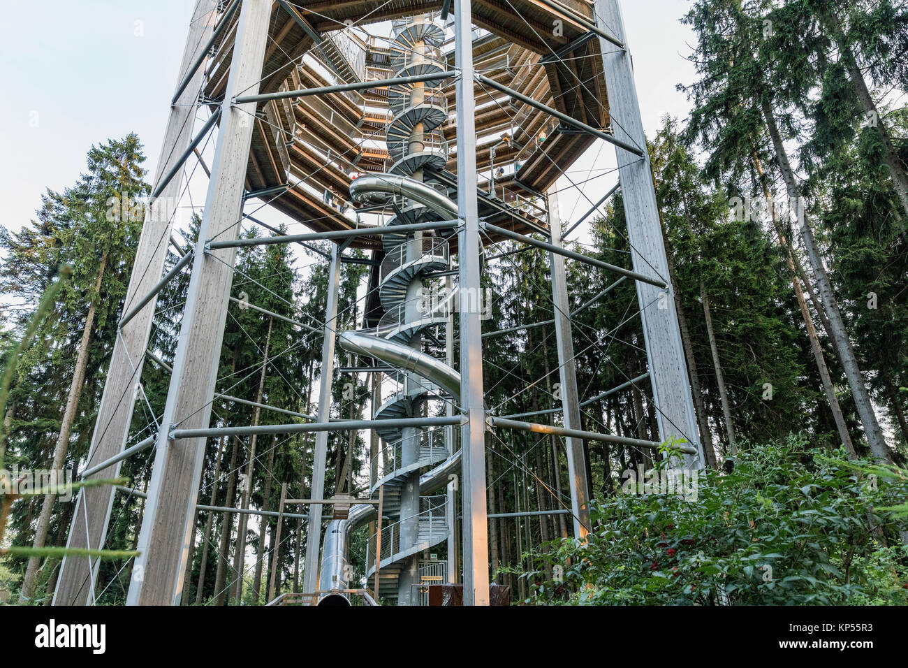 Treetop Walkway in Lipno, Sightseeing trail in tree crowns. Wooden ...