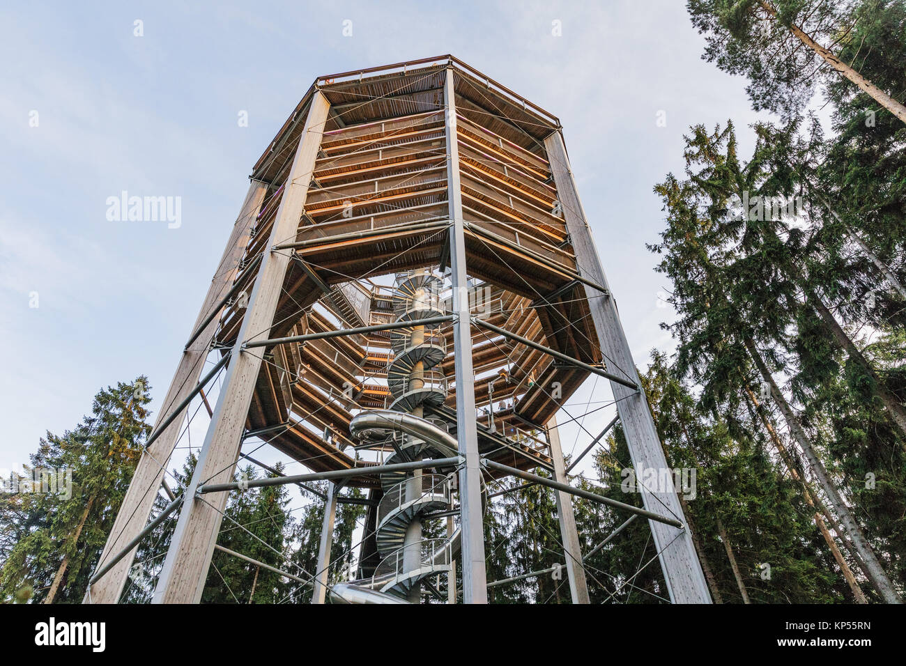 Treetop Walkway in Lipno, Sightseeing trail in tree crowns. Wooden ...