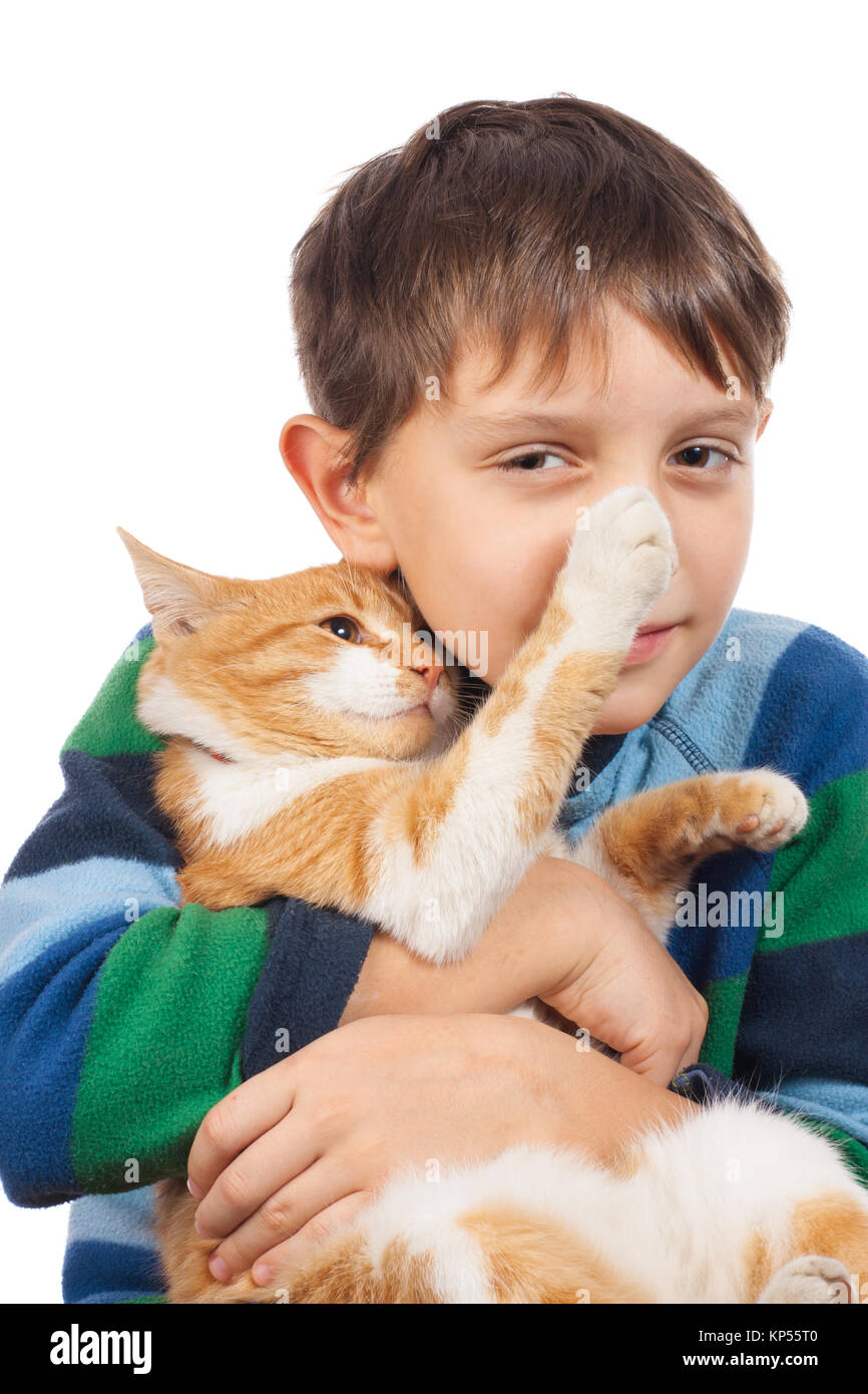 Boy playing with his cat. Isolation on white Stock Photo - Alamy