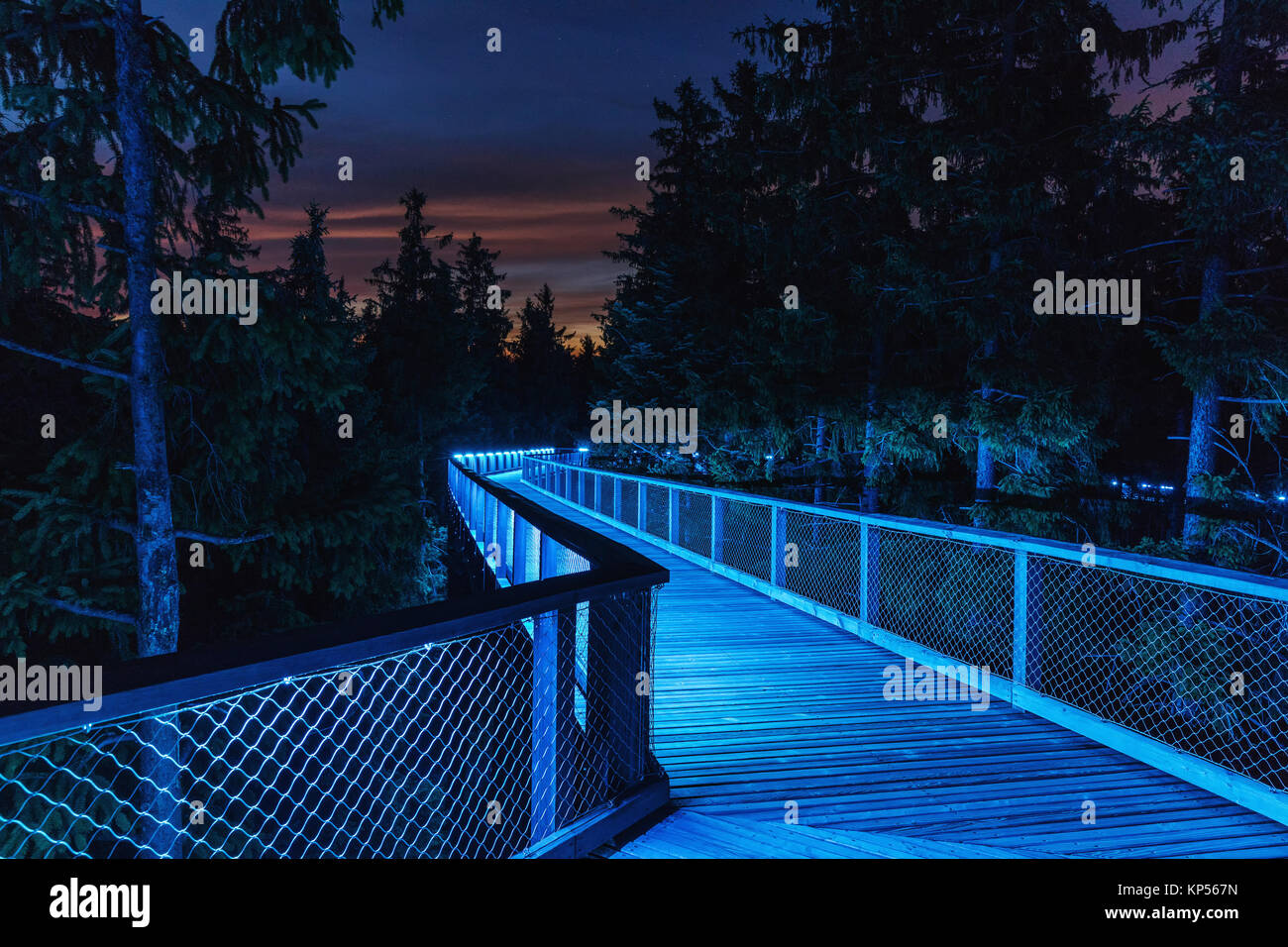 Treetop Walkway in Lipno, Sightseeing trail in tree crowns. Wooden ...