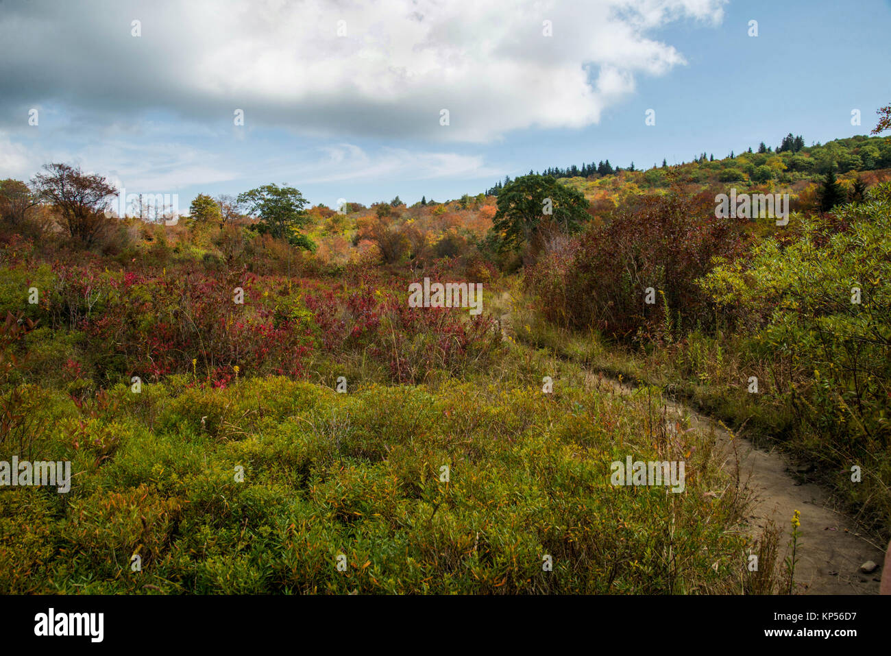Graveyard Fields in autumn. Near Ashville, North Carolina Stock Photo ...