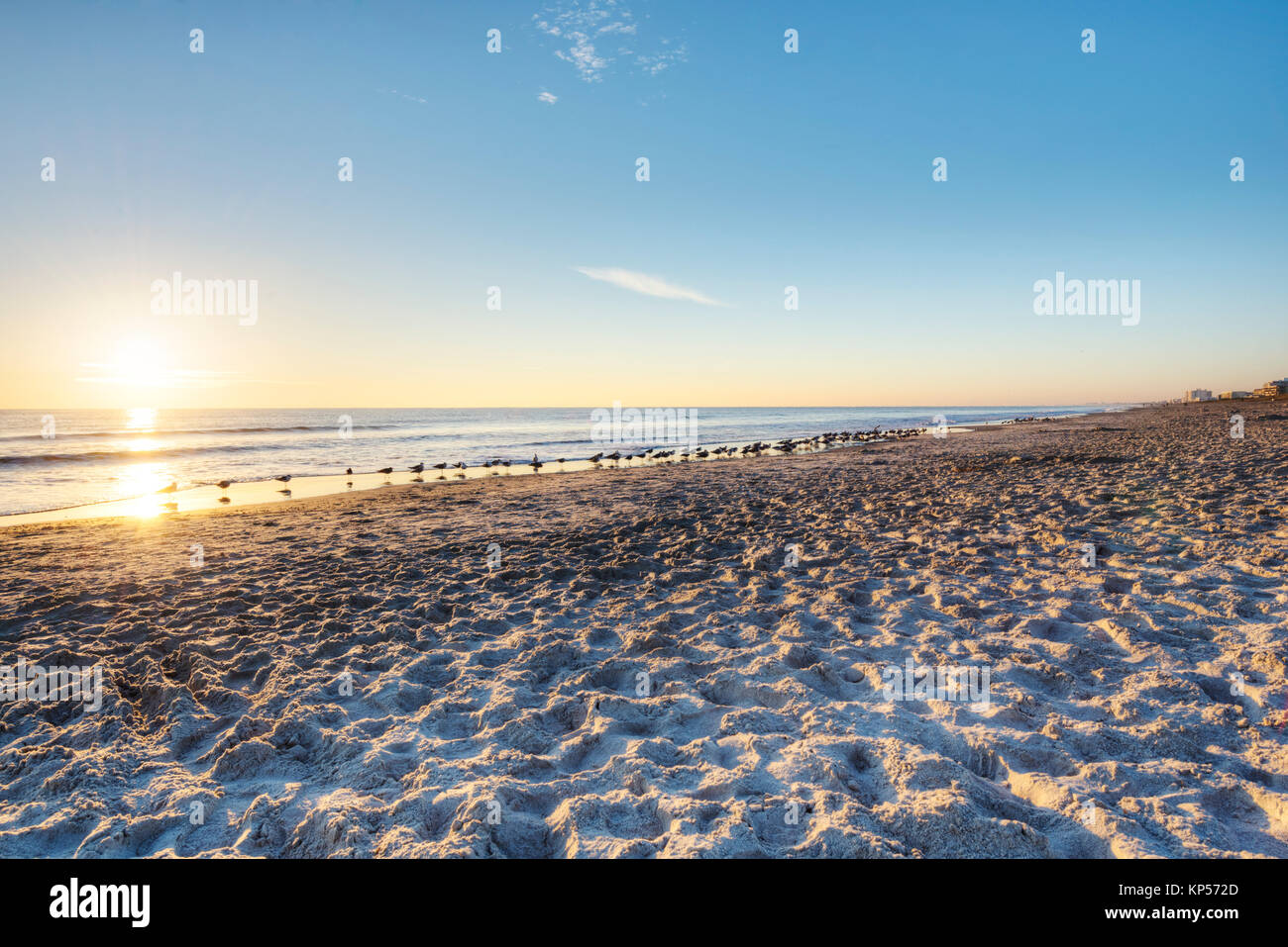 Sunrise at Beach in Florida Stock Photo - Alamy