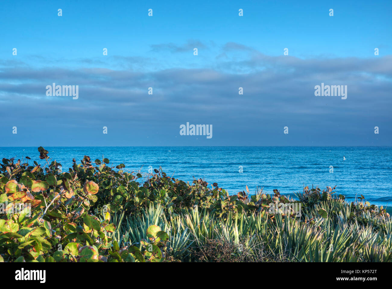blue, horizon, green, clouds, atlantic, salt water, sea, ocean, water ...