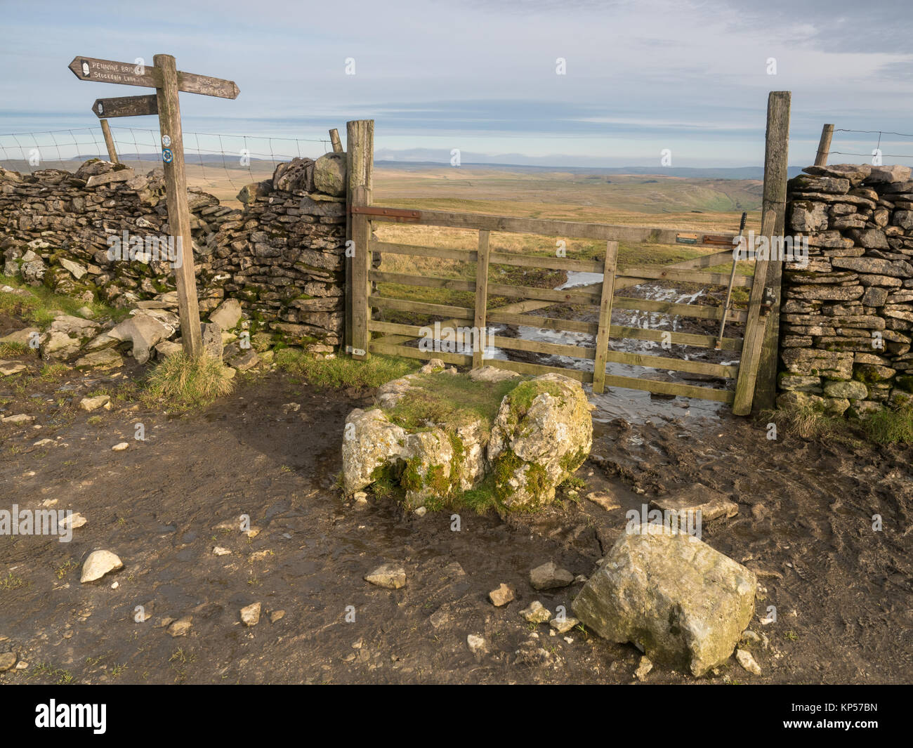 Hill walking above Settle and Malham in the Yorkshire Dales Stock Photo - Alamy