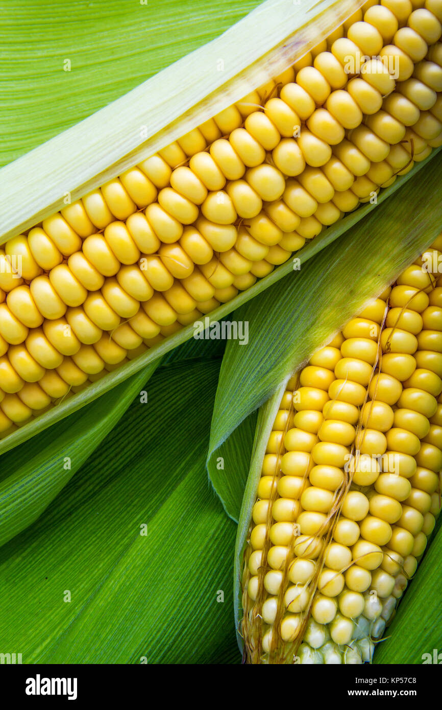 Corn and cob Stock Photo - Alamy