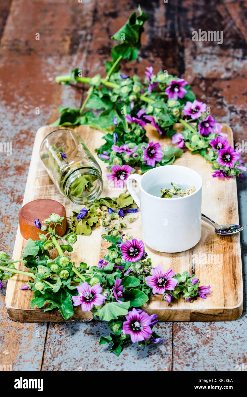 Common mallow plant herbal tea Stock Photo - Alamy