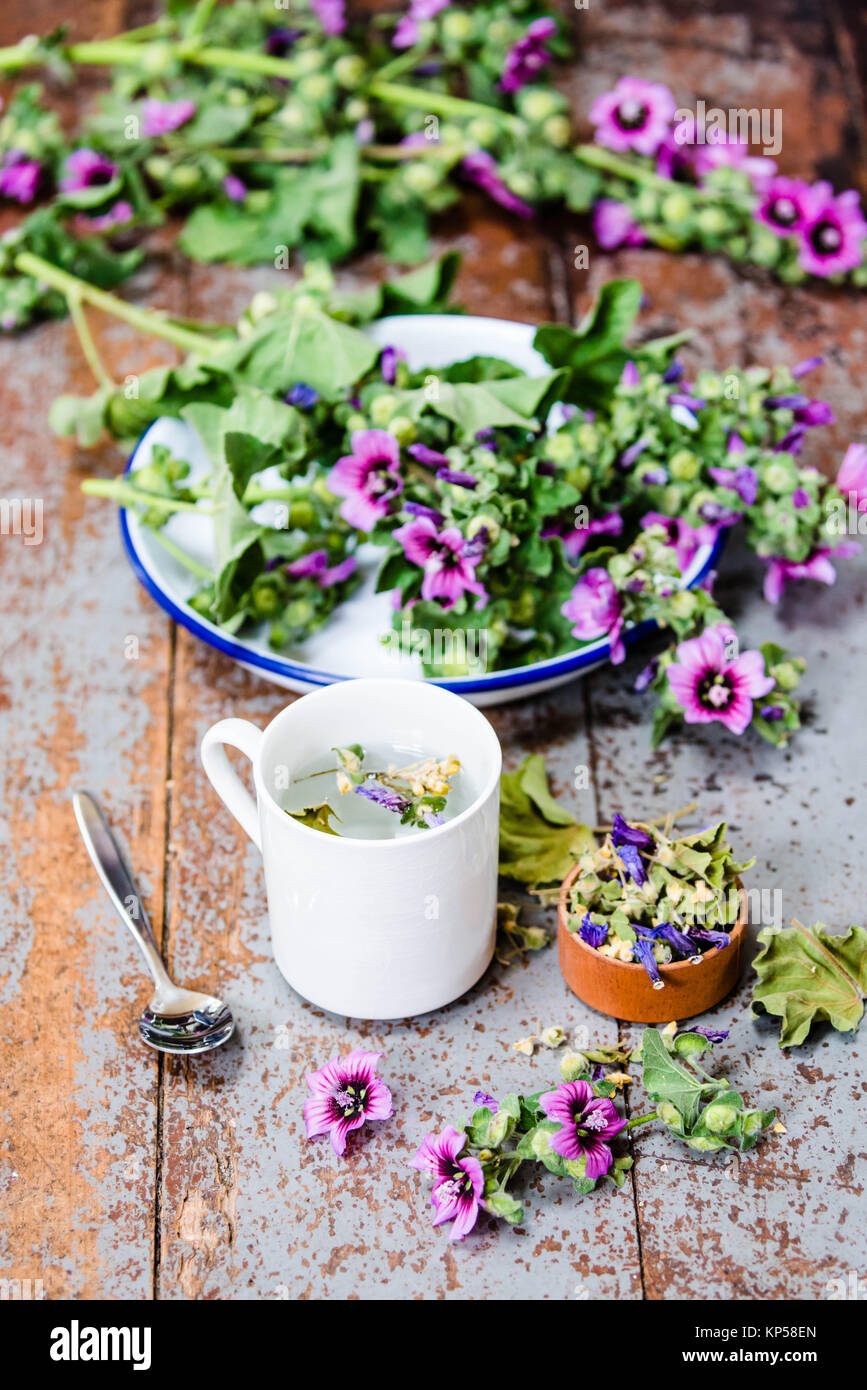 Common mallow plant herbal tea Stock Photo - Alamy