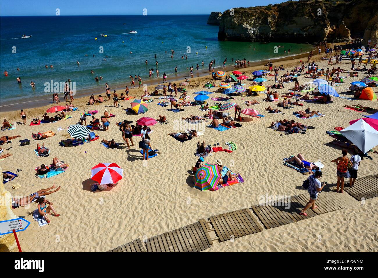 Batata portugal hi-res stock photography and images - Alamy