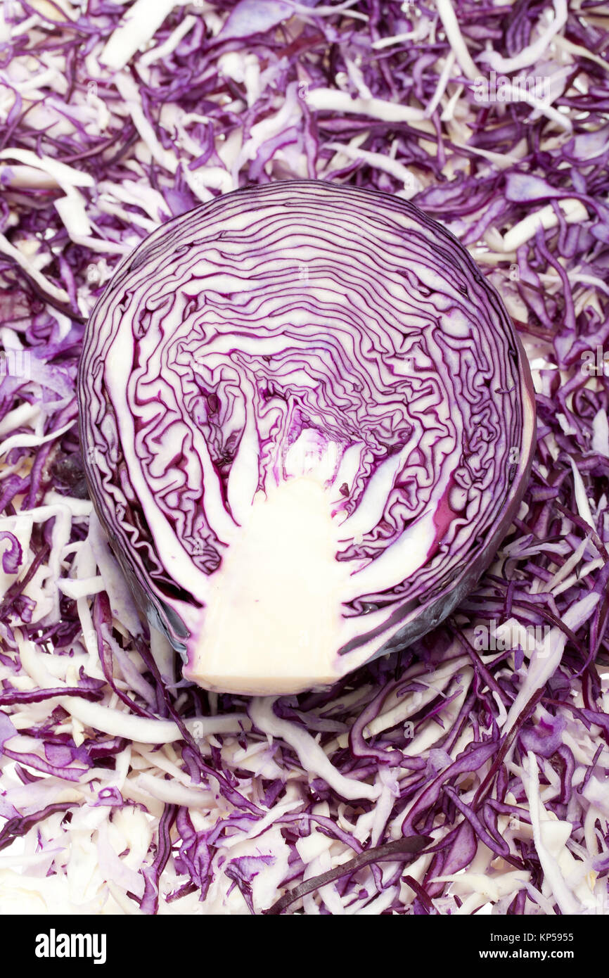 Red Cabbage cross section on White Background Stock Photo - Alamy