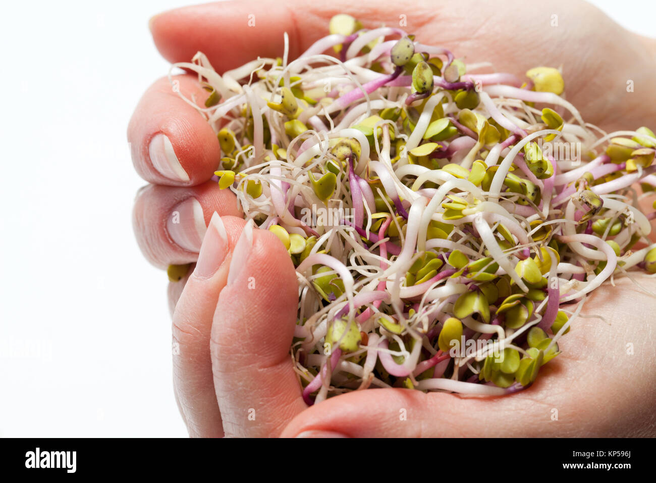 The healthy diet. Fresh sprouts isolated on white background Stock ...
