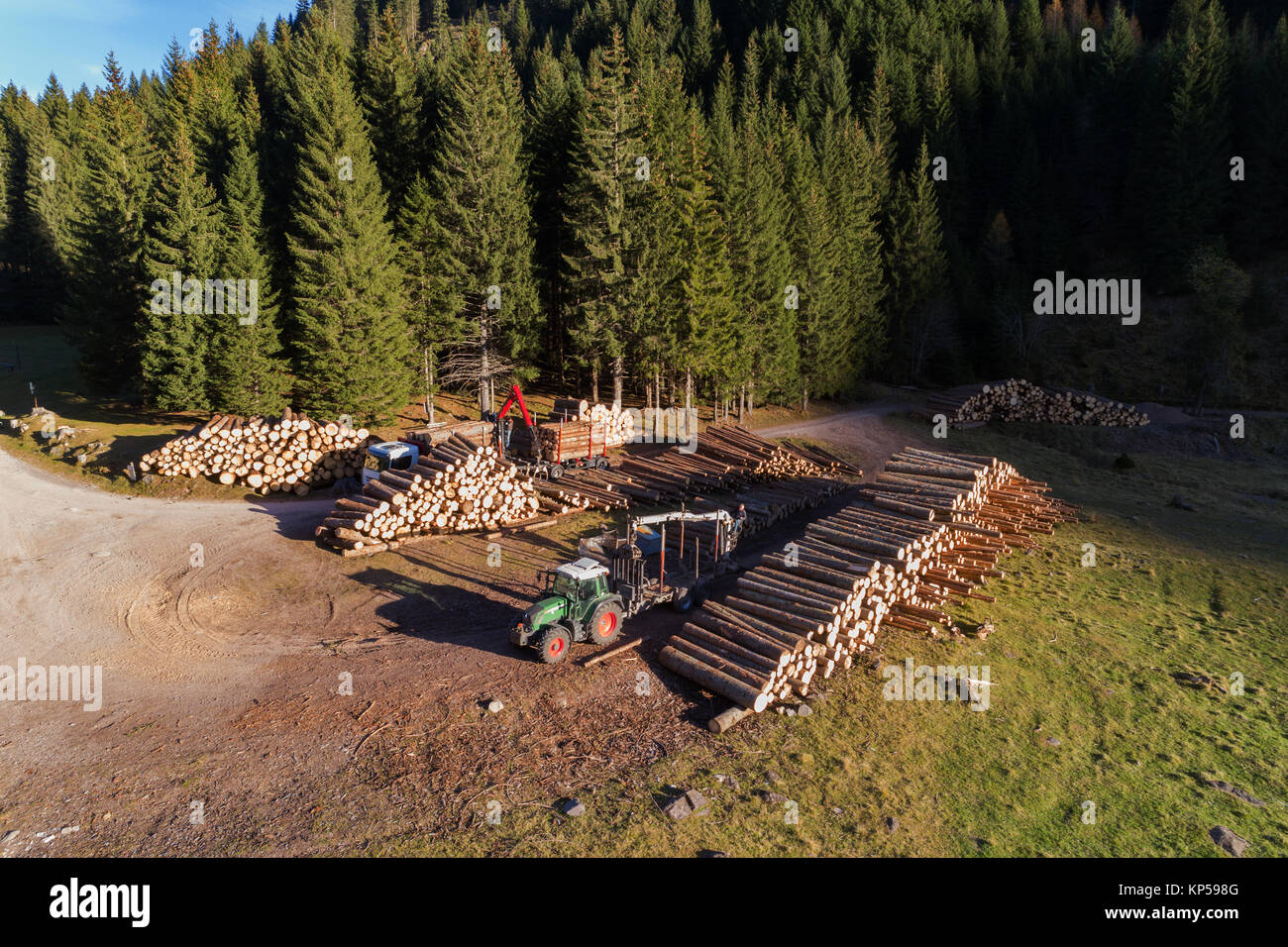 aerial view of wood mining in Dolomites. Loading timber on truck Stock ...