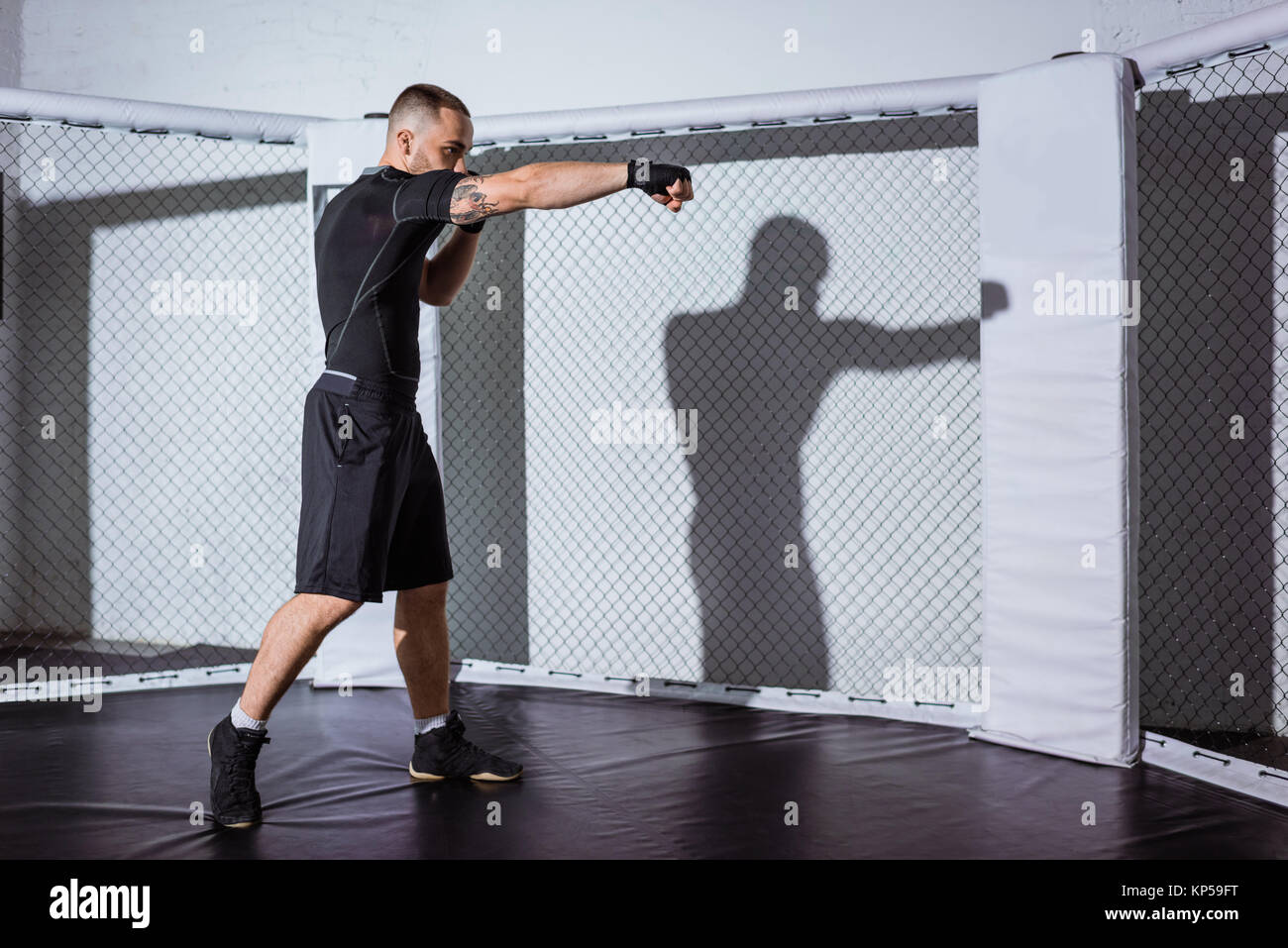 young fighter training Stock Photo - Alamy