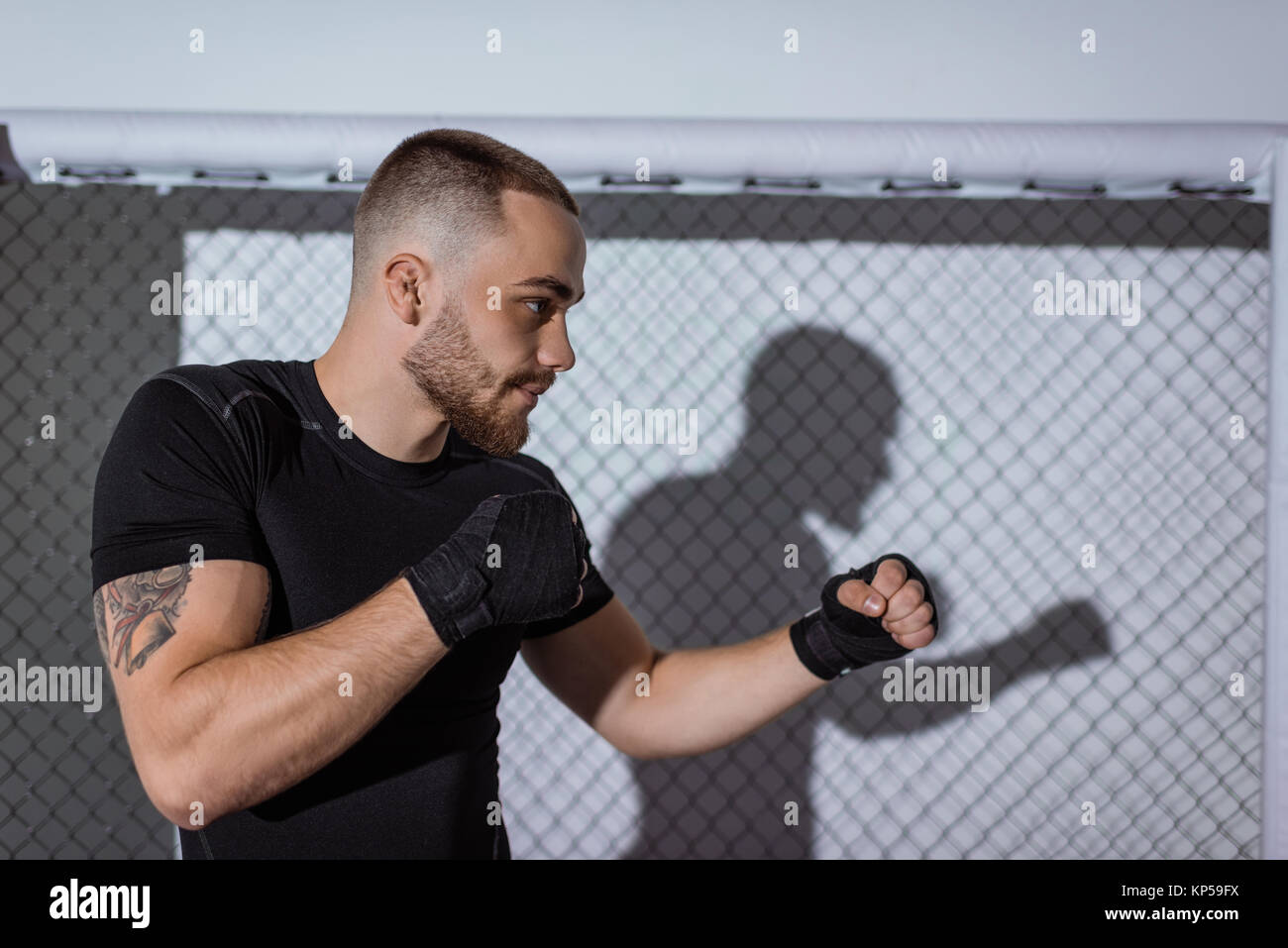 young fighter training Stock Photo - Alamy
