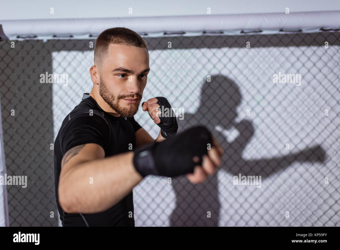Boxing club man sports training hi-res stock photography and images - Alamy