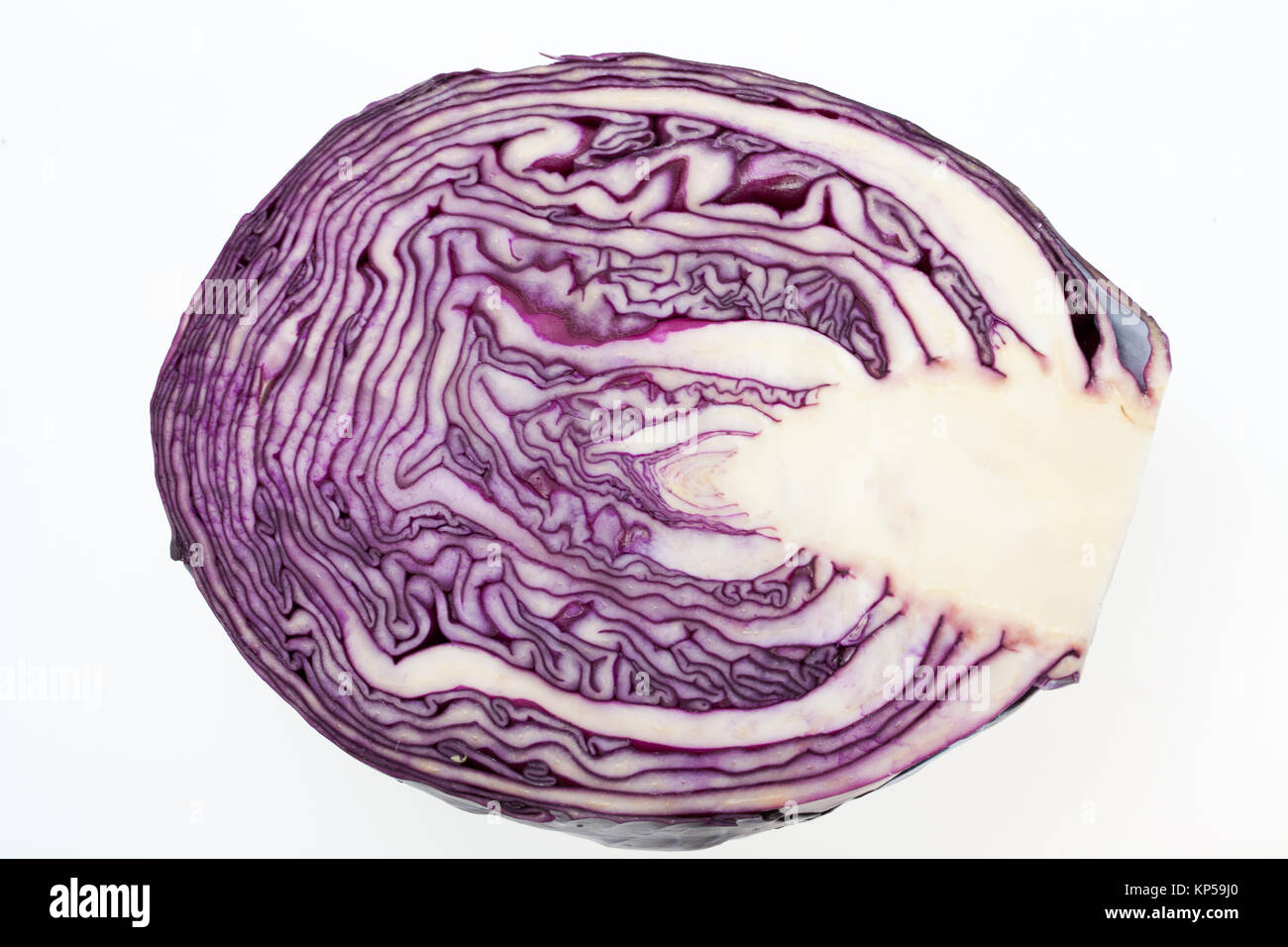 Red Cabbage cross section on White Background Stock Photo - Alamy