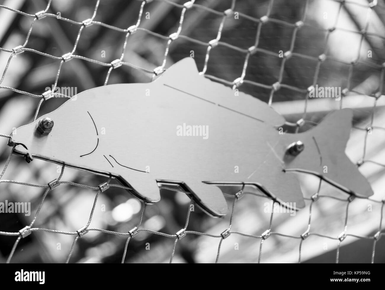 fish in a net,bad reichenhall,bavaria,germany Stock Photo - Alamy