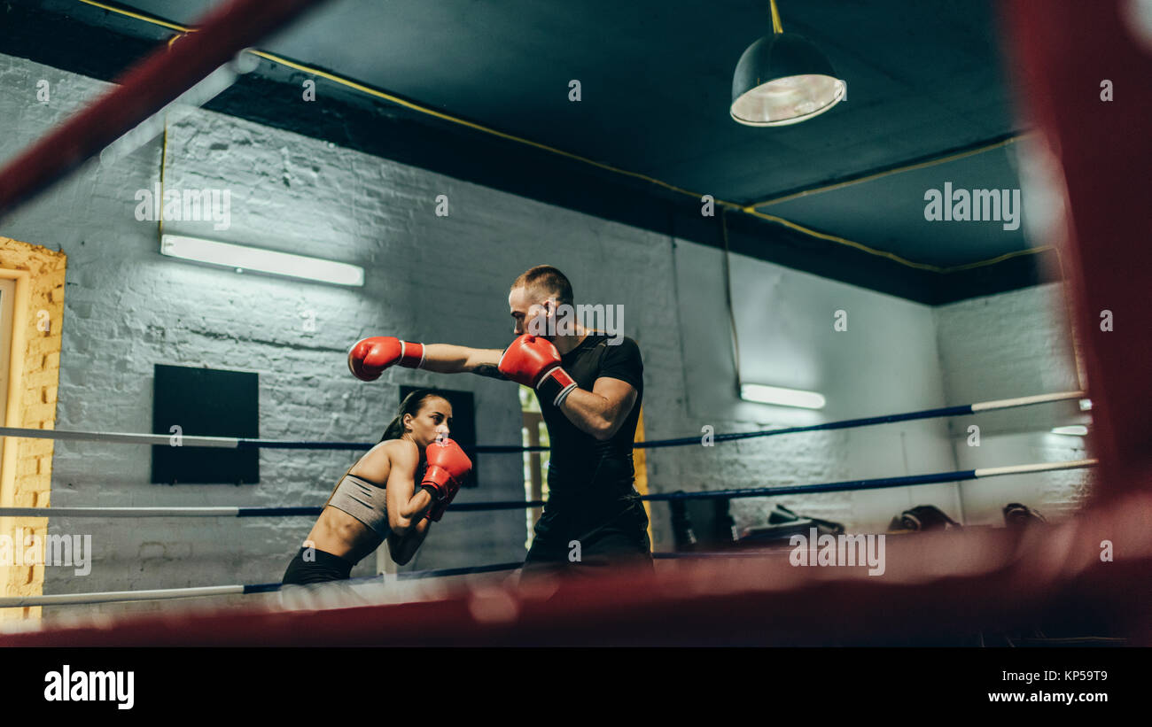 boxers training on boxing ring Stock Photo - Alamy