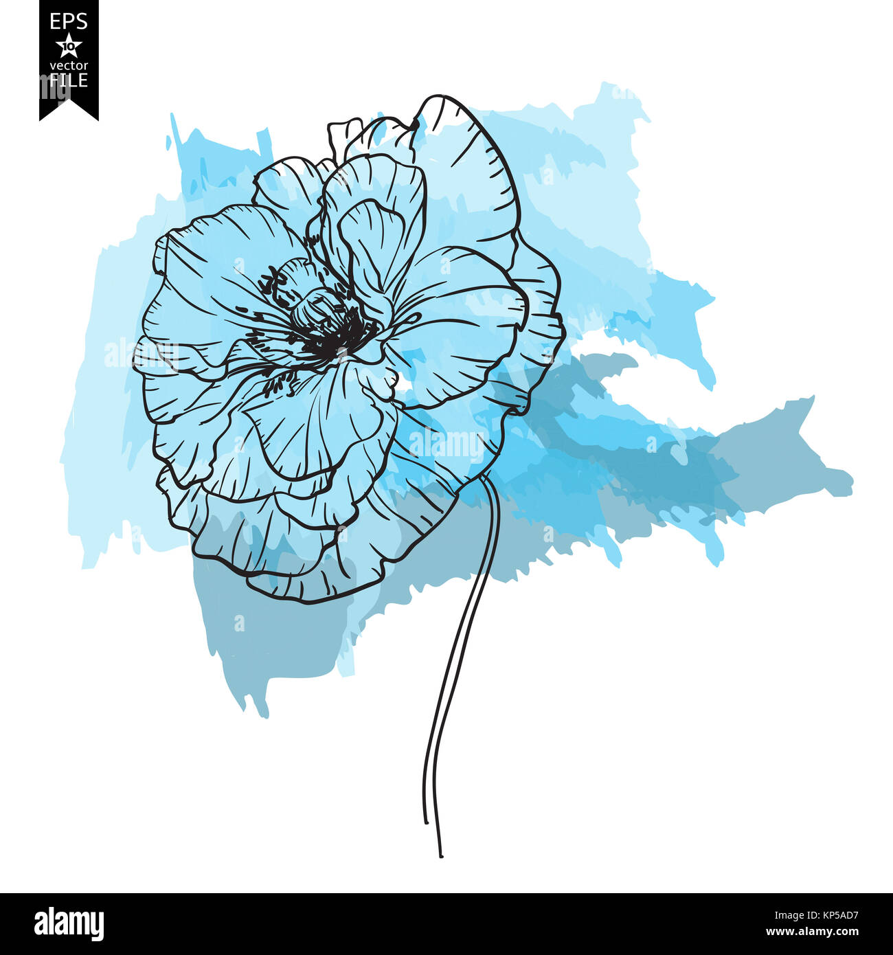 Poppy design, floral background isolated vector decor Stock Photo - Alamy