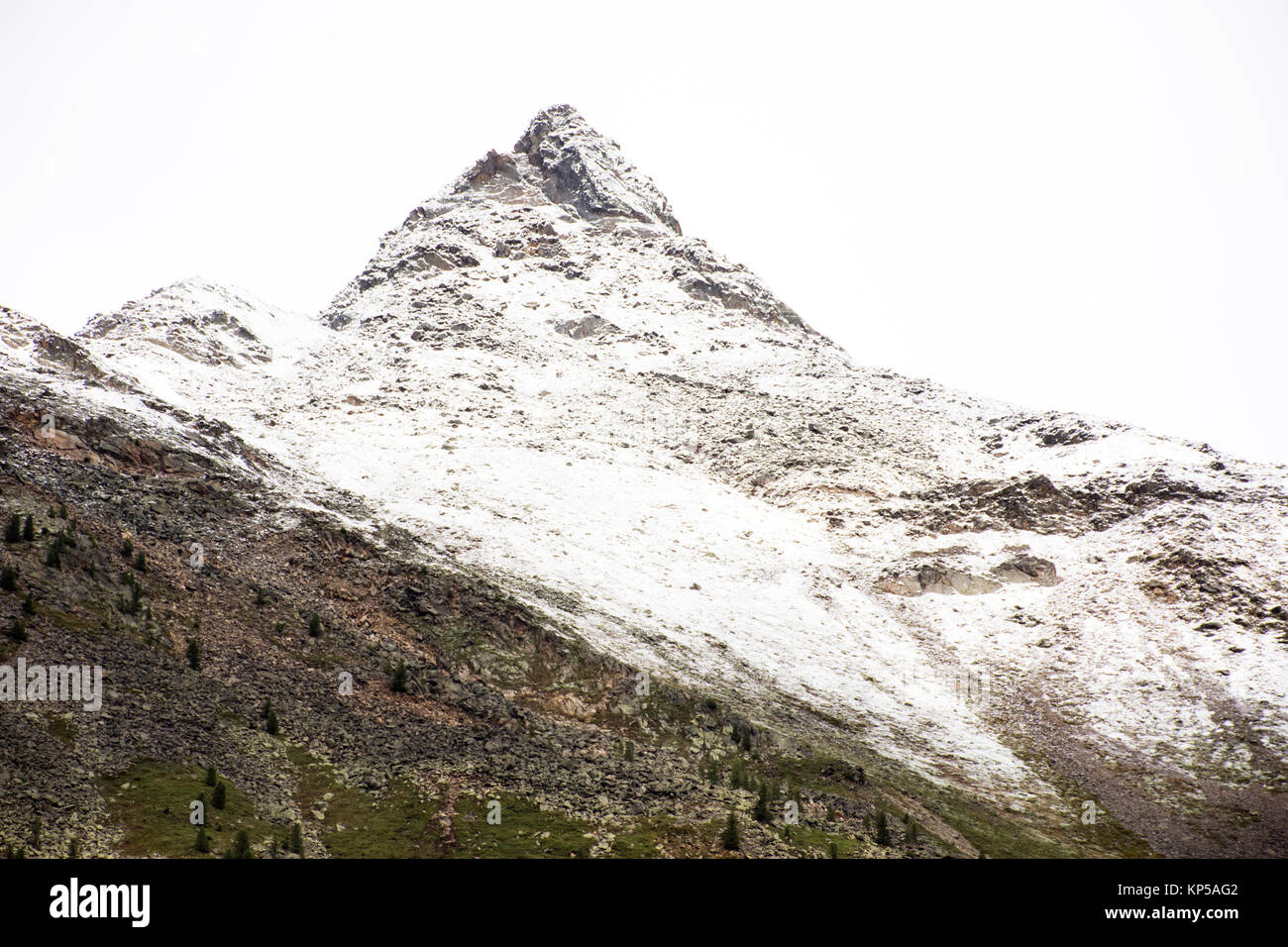 Alpine tree forest on the mountain with Alps highest and most extensive ...