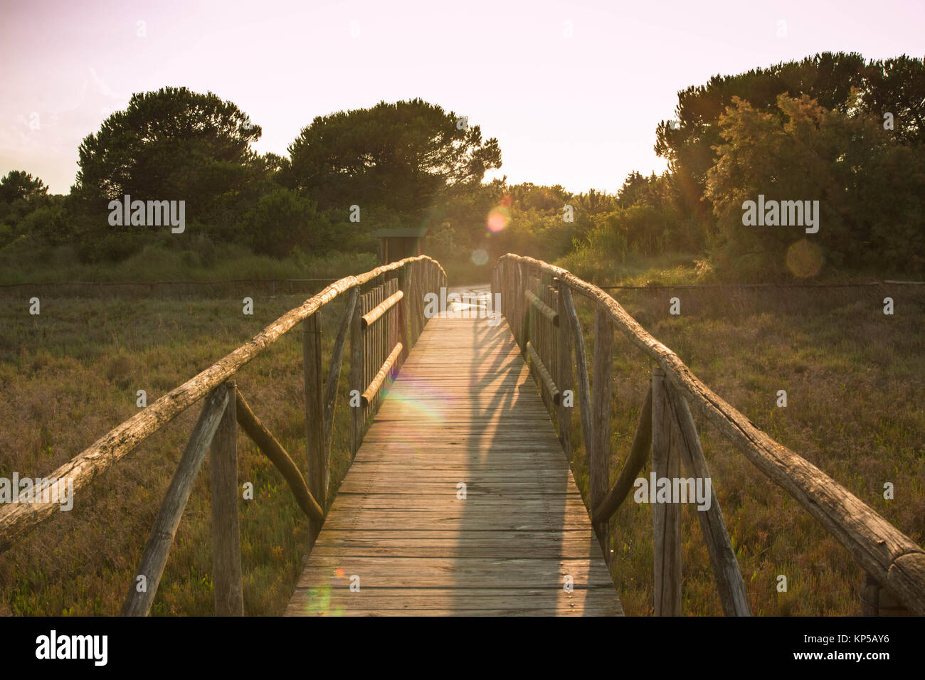 Wooden pedestrian bridge pathway at sunset with beautiful golden light ...