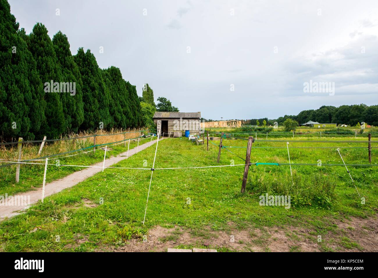 Malden, Netherlands. Lonely and isolated shed maintaining itself at a ...
