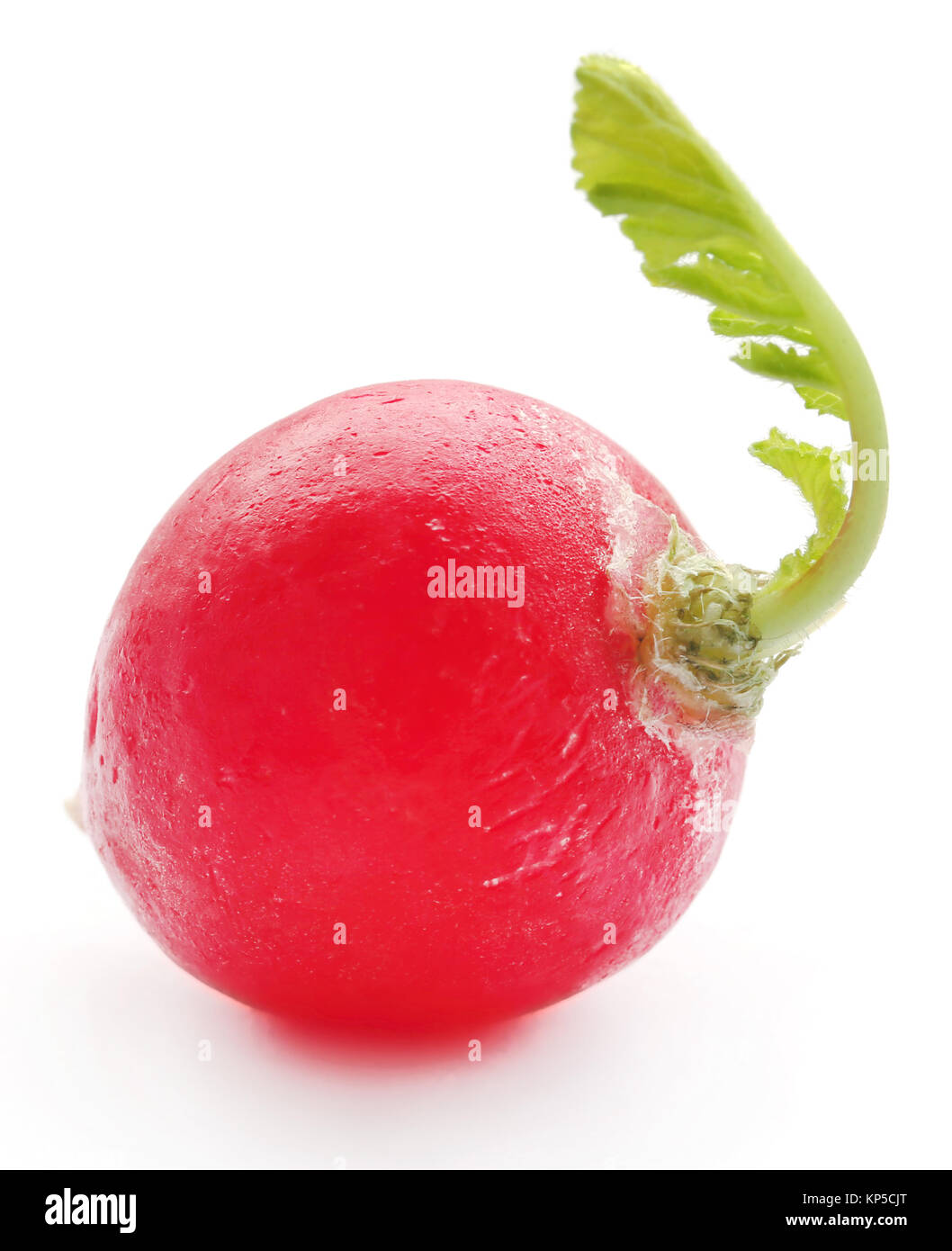 Fresh small radish over white background Stock Photo - Alamy
