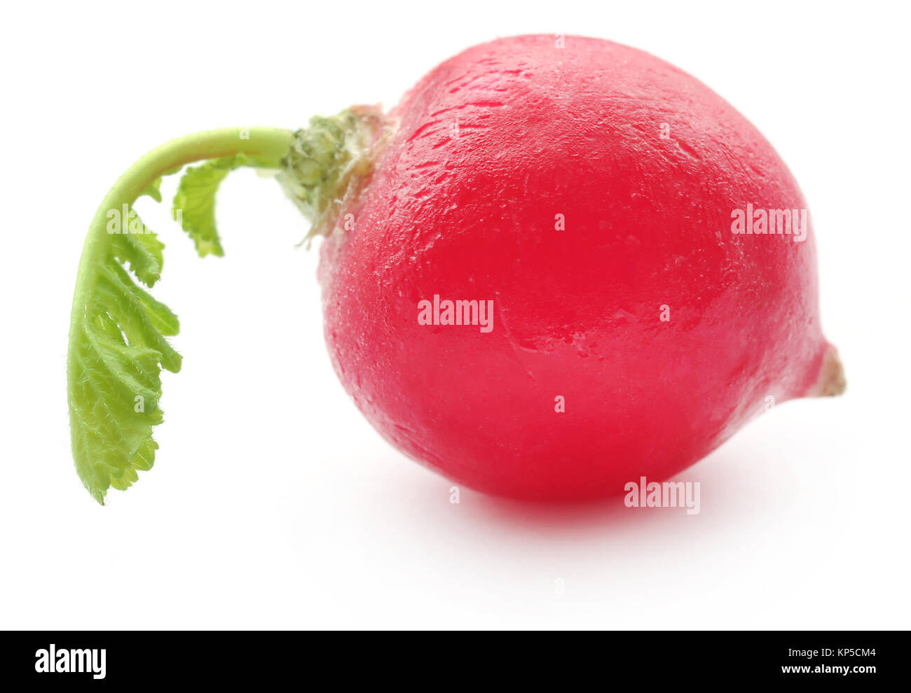 Fresh small radish over white background Stock Photo - Alamy