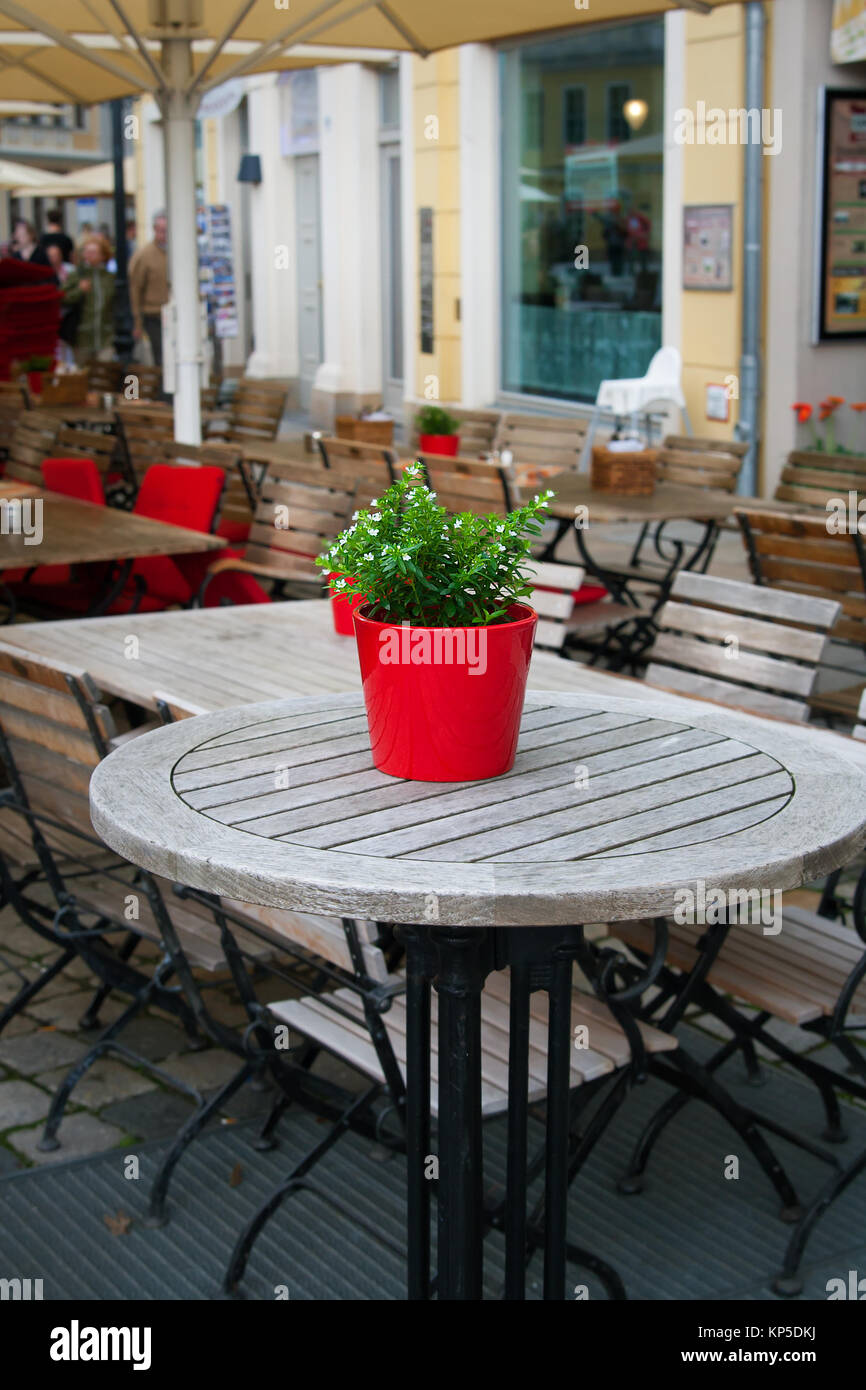 Cute little pot plant on outdoor table Stock Photo - Alamy