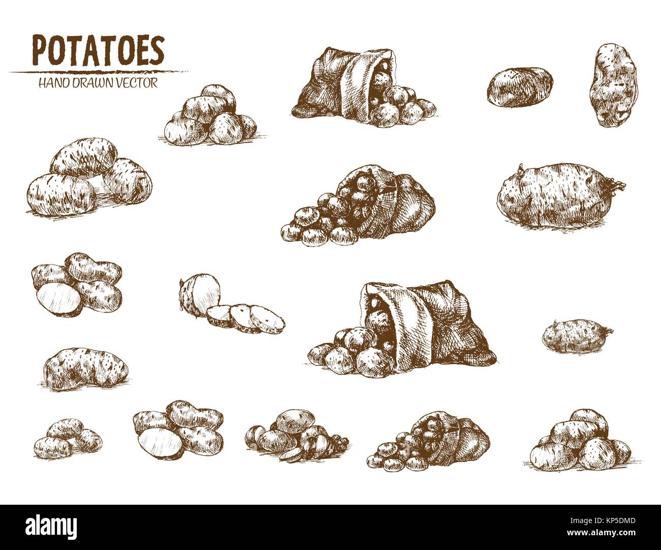 Potato Line Drawing