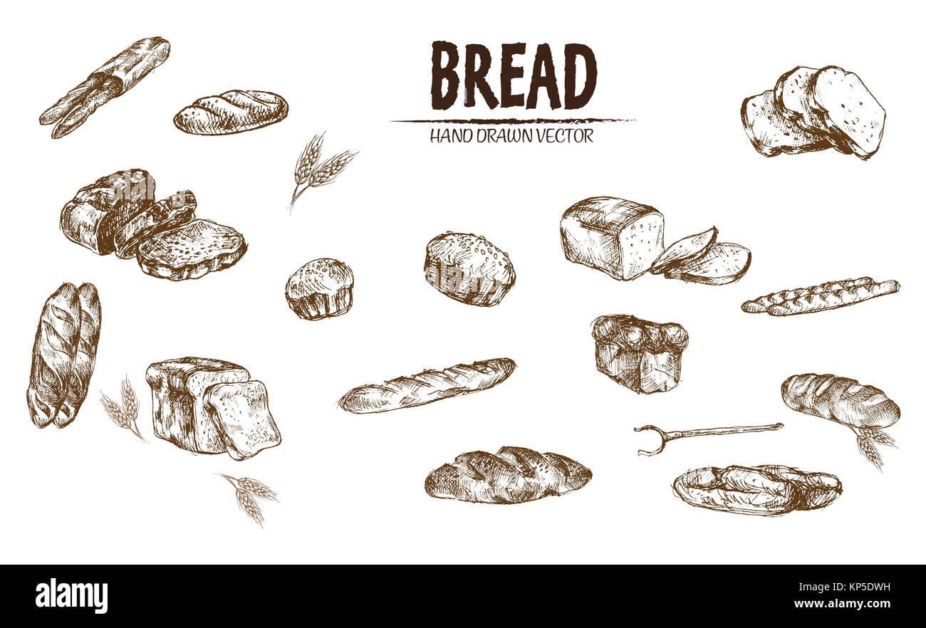 Digital vector detailed line art baked bread and dried wheat hand drawn ...