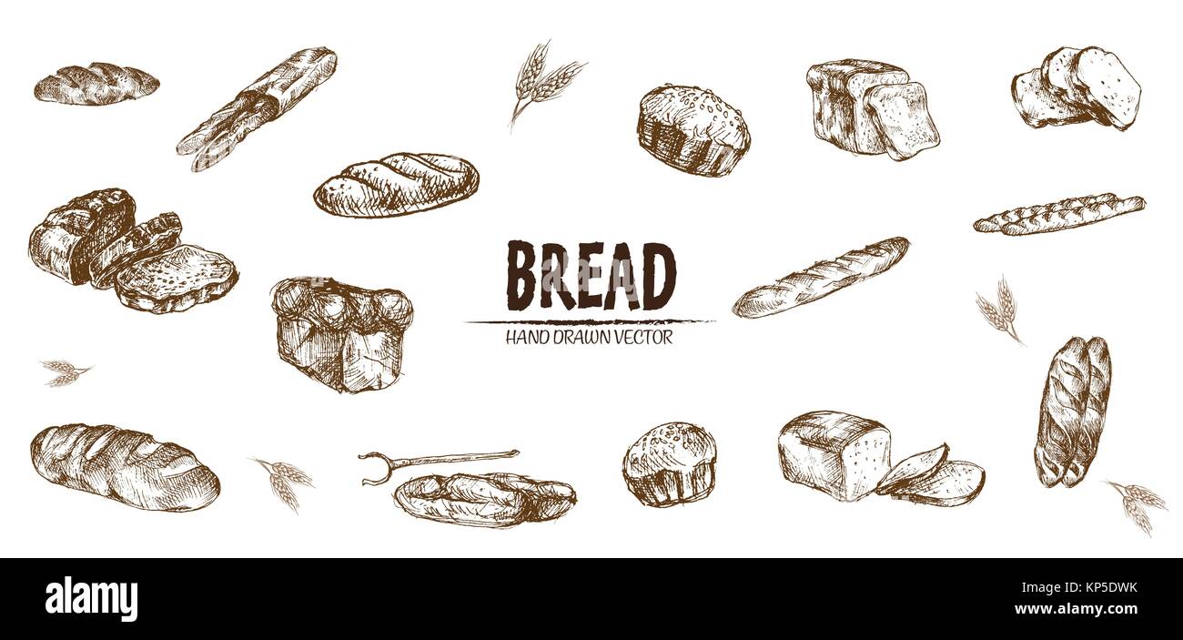 Digital vector detailed line art baked bread and dried wheat hand drawn ...