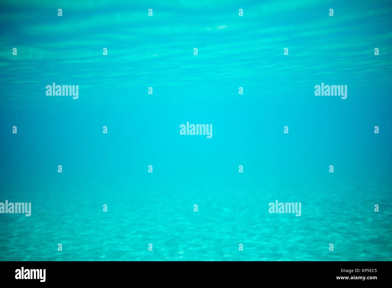 Beautiful underwater background Stock Photo - Alamy