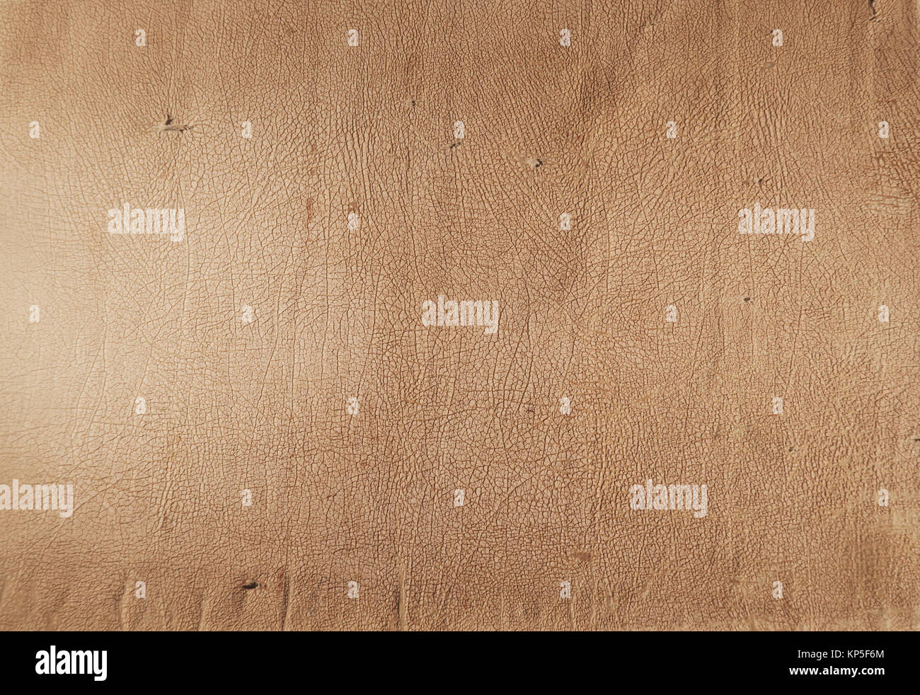 old leather texture Stock Photo - Alamy