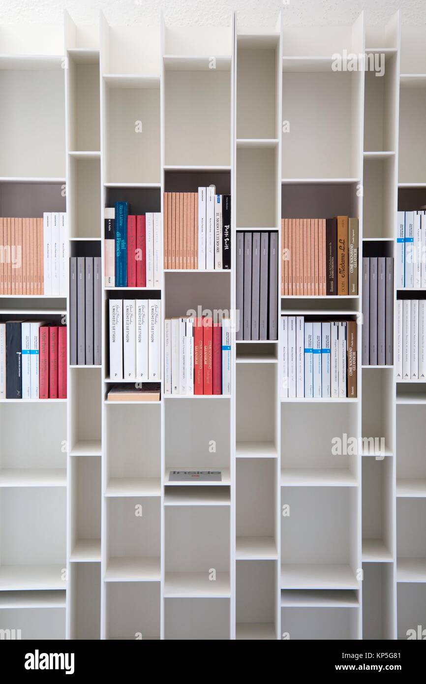 Shelves with books Stock Photo - Alamy
