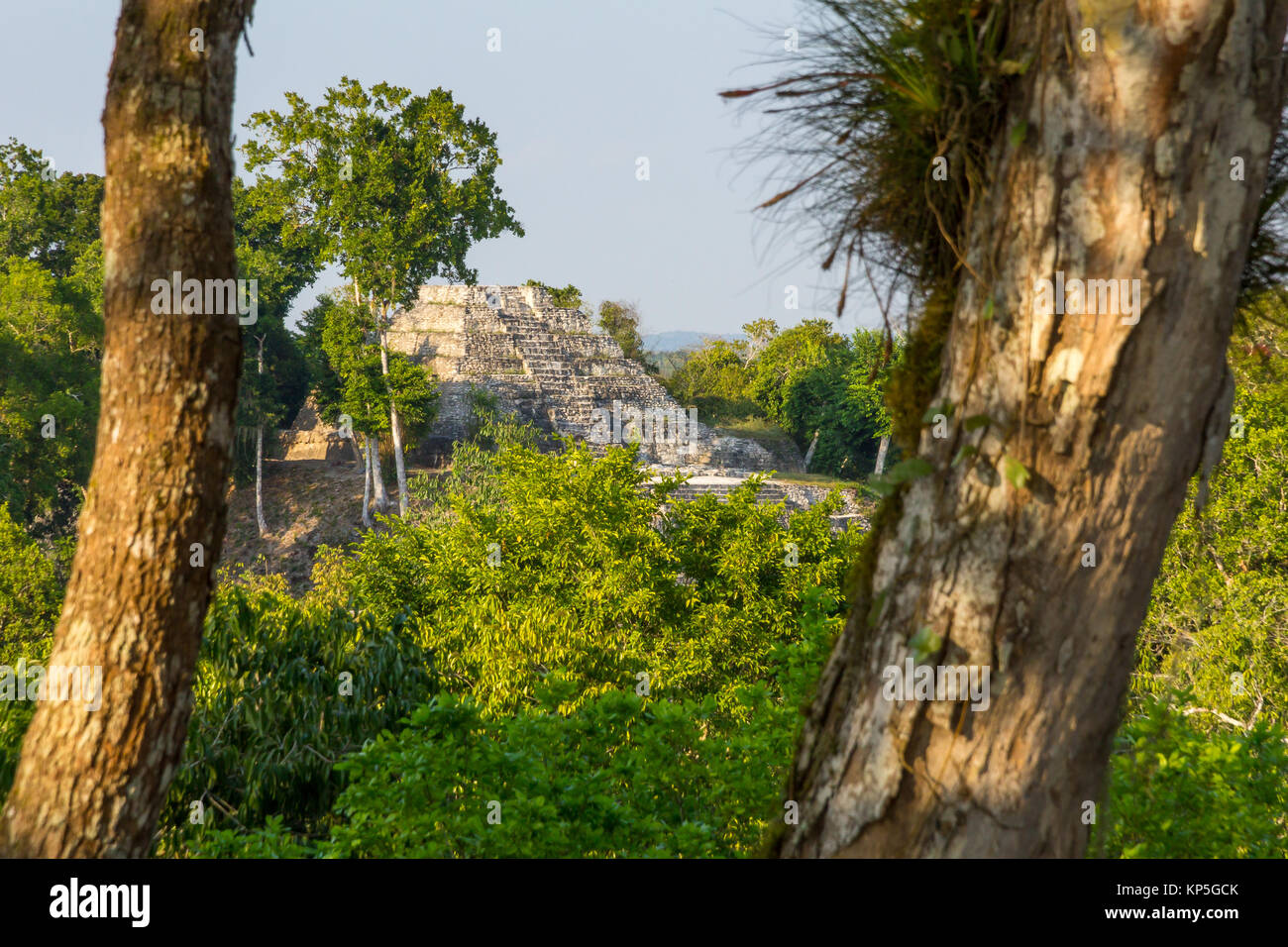 Ruins of the North Acropolis seen from a lookout | Yaxhá | Guatemala ...