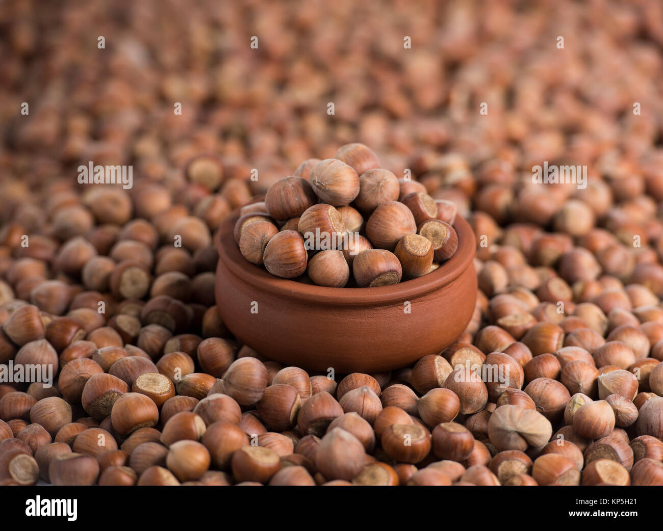 Hazelnut husk hi-res stock photography and images - Alamy