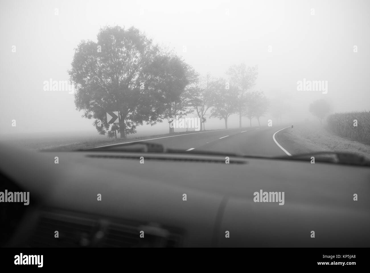 Car driving in the Fog Road Stock Photo - Alamy