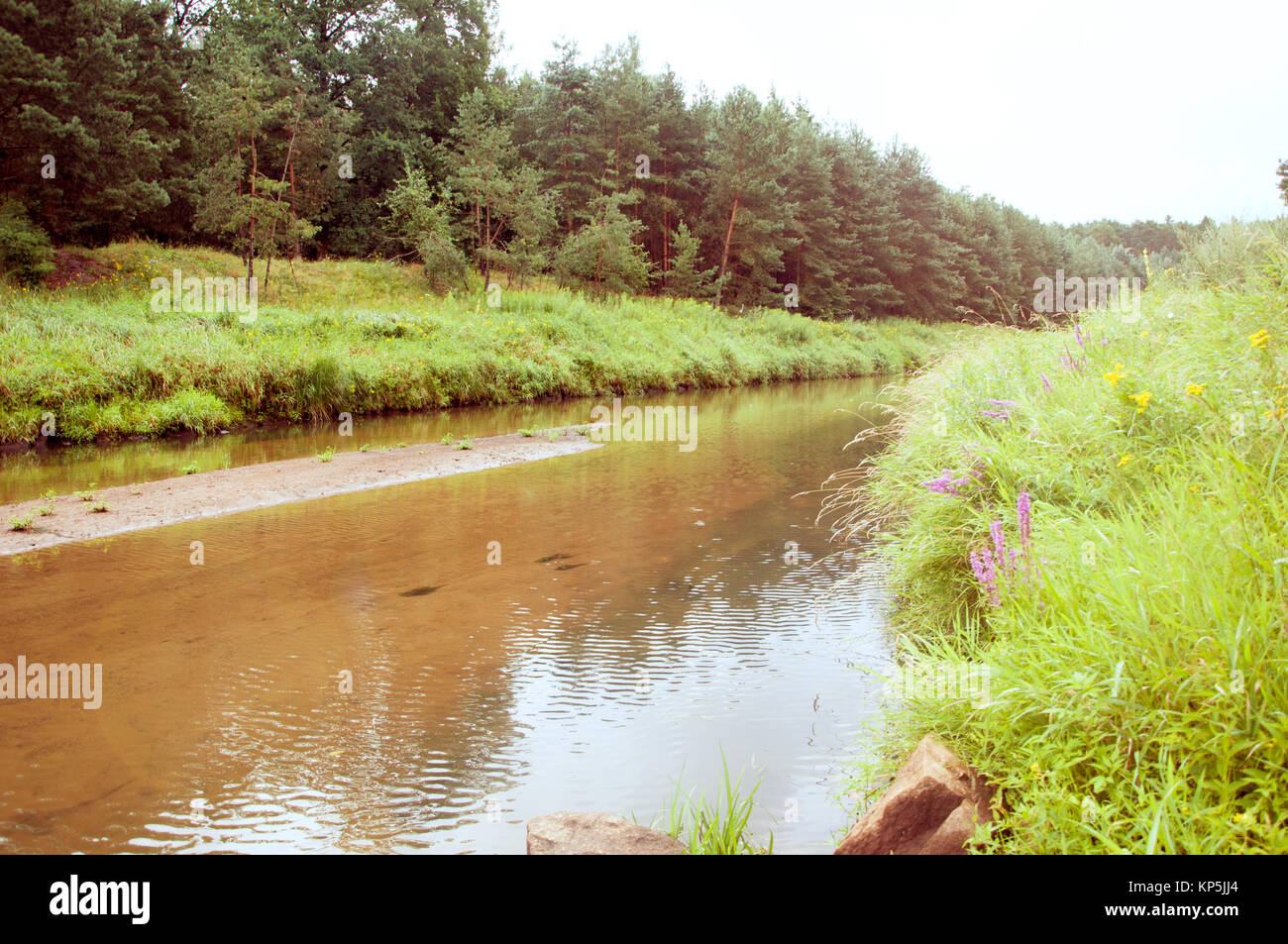 vintage photo of river in forest Stock Photo - Alamy